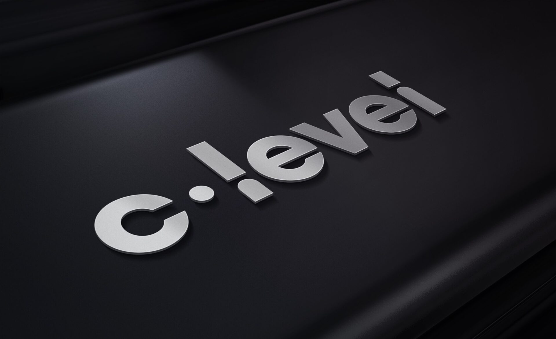 C Level – Business Training Institute – İlham veren yol arkadaşınız.